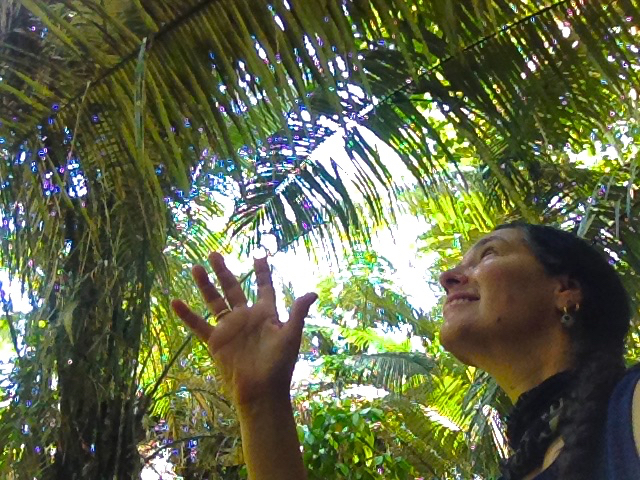 Chris Rials-Seitz : Profile @ Arts Front